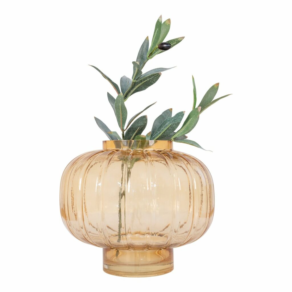 Vaas - Bruin - Mr Noir